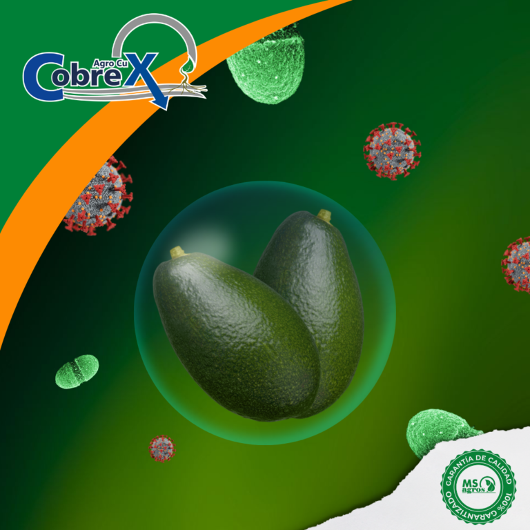 COBREX_FONDO BLANCO | MS Agros S.A. de C.V.