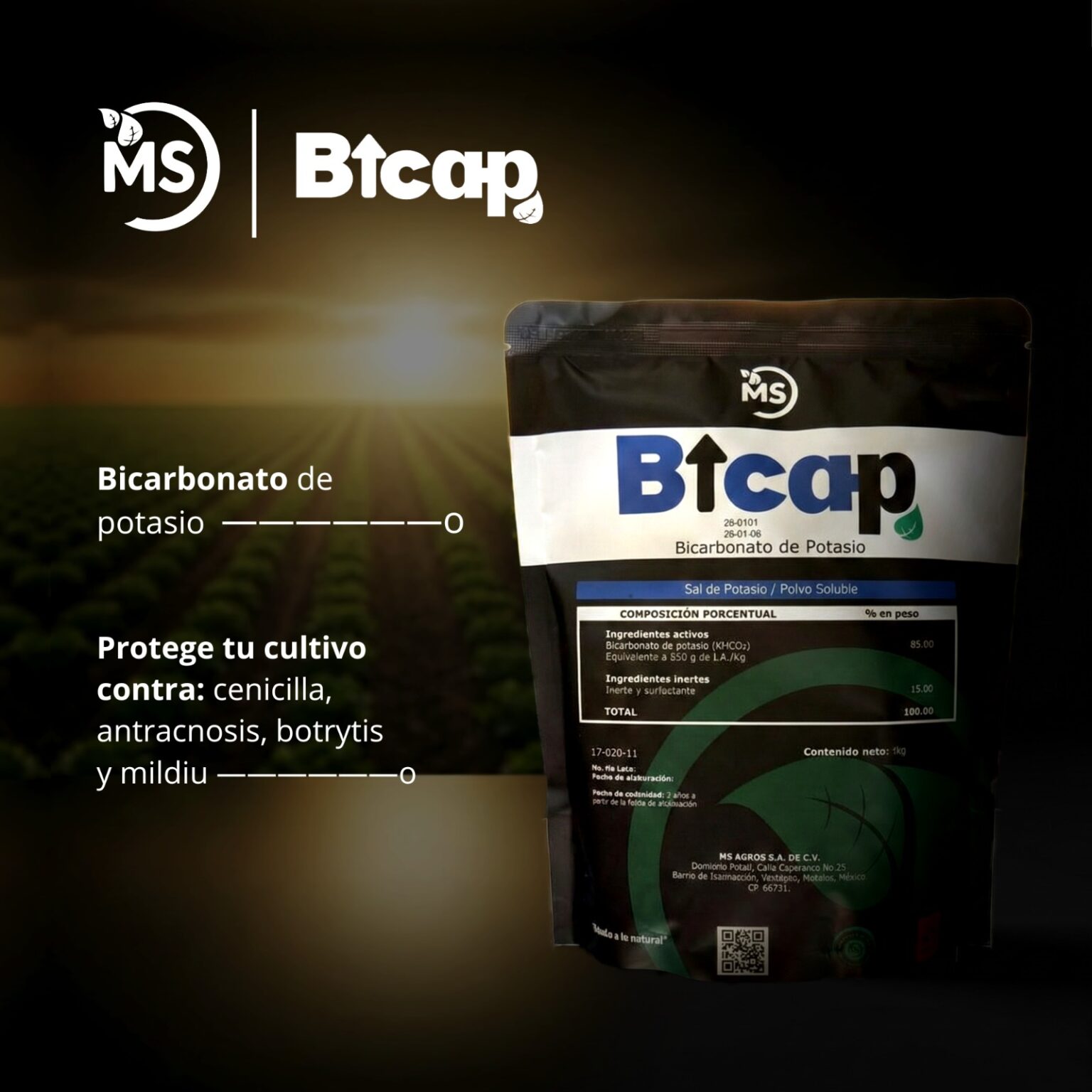BICAP_2026 | MS Agros S.A. de C.V.