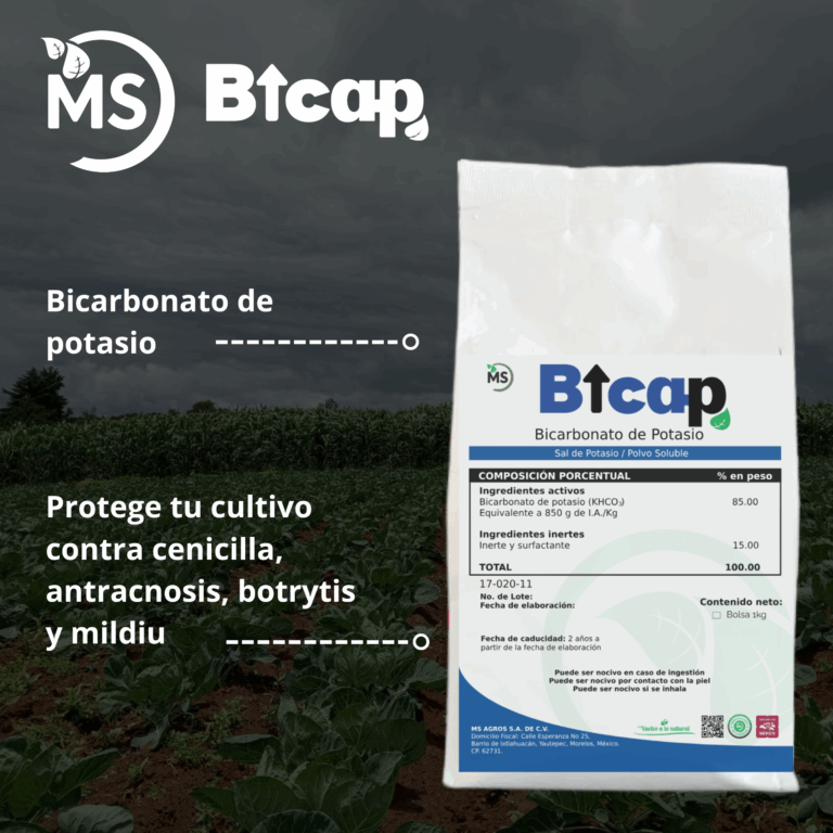 BICAP | MS Agros S.A. de C.V.